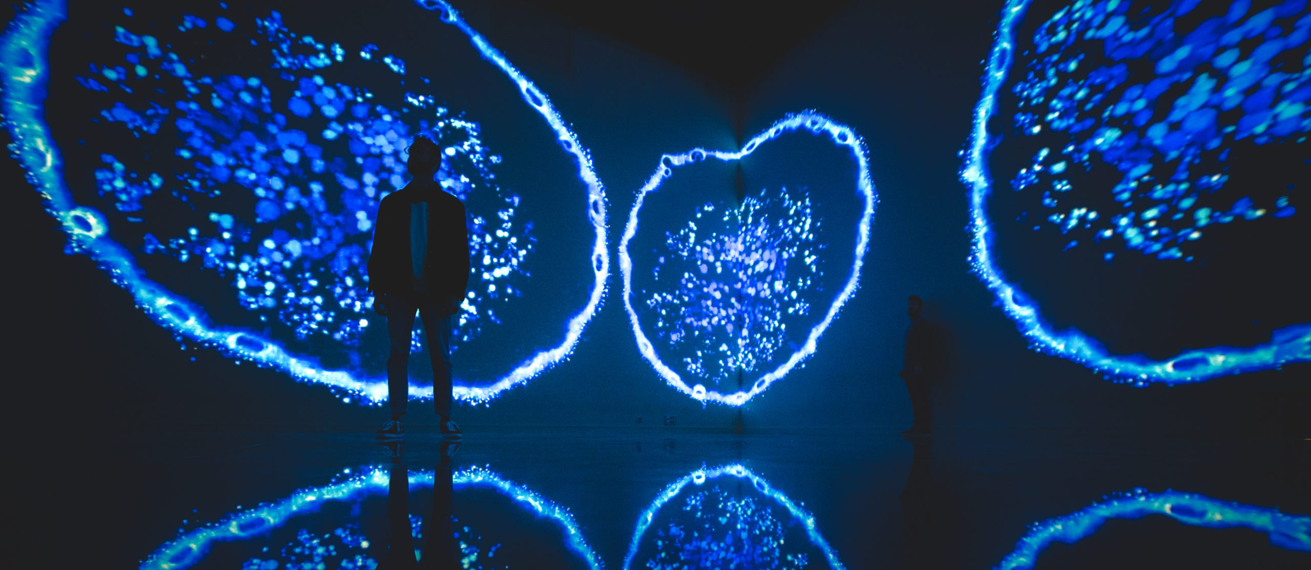 Cell immersion: vertigineux itinéraire d’initiation au monde vivant ...