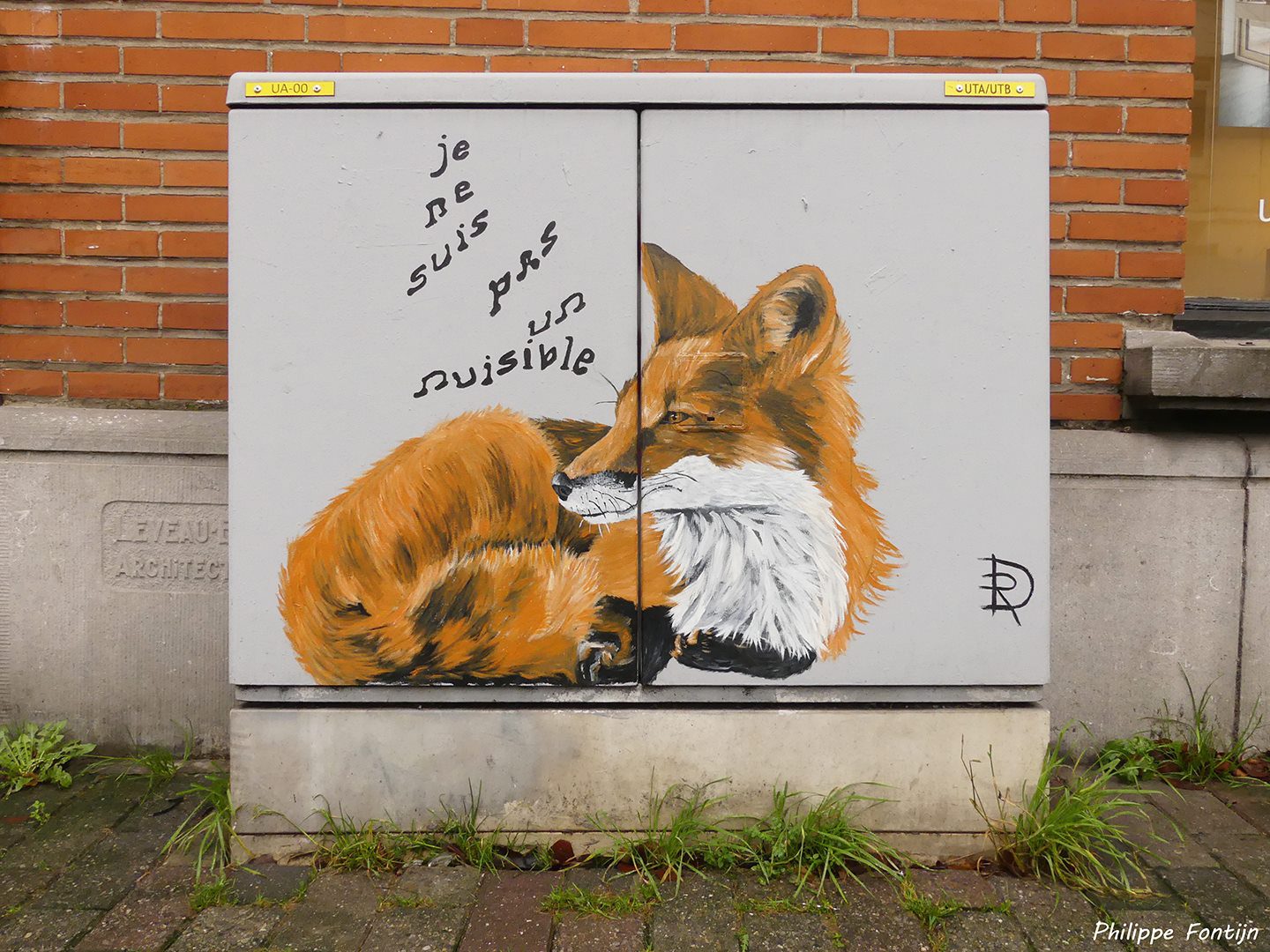 Dessine-moi un Renard - Culturius