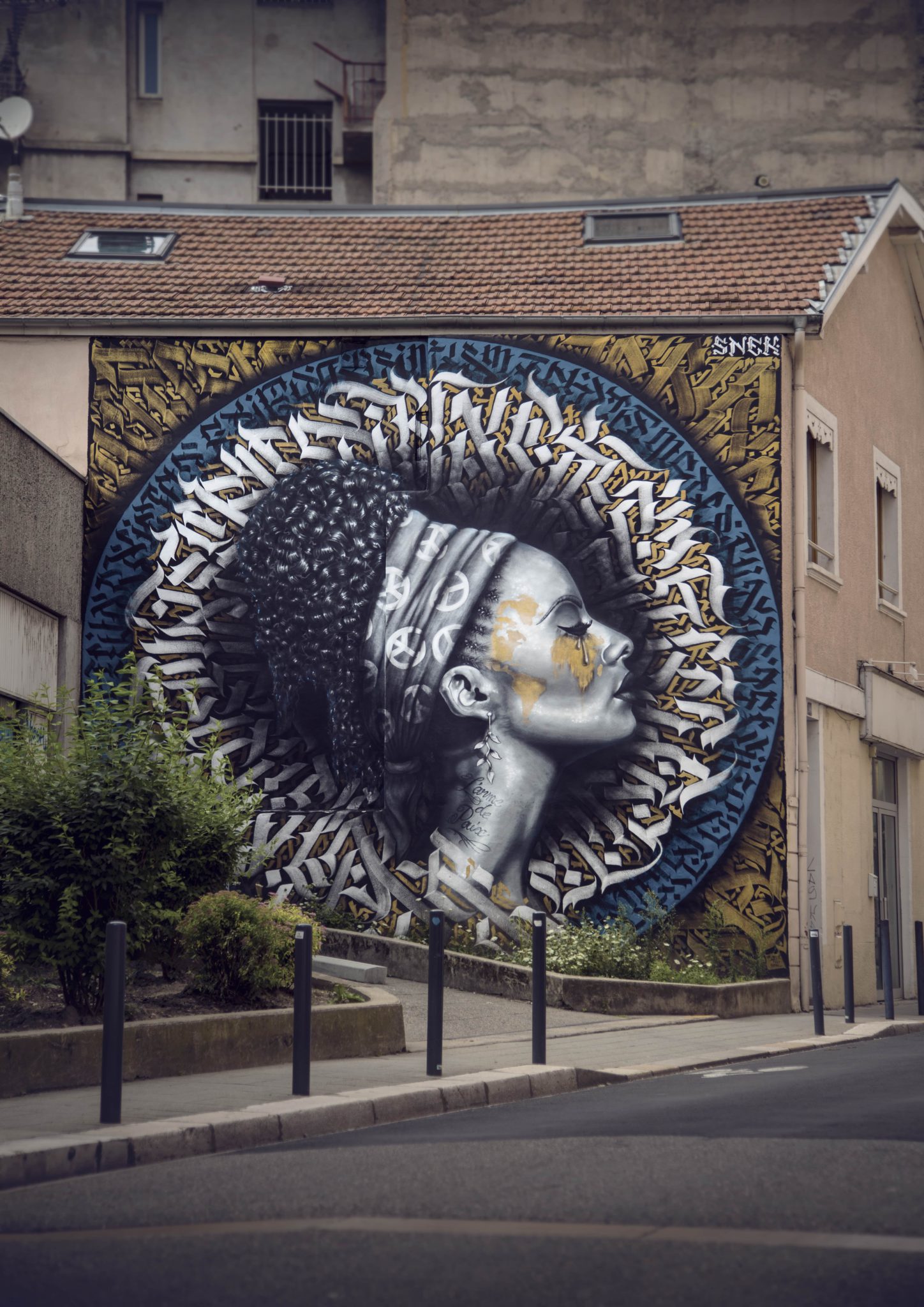 Street art à Grenoble : un tour d'horizon des œuvres les plus remarquables de la ville - Culturius